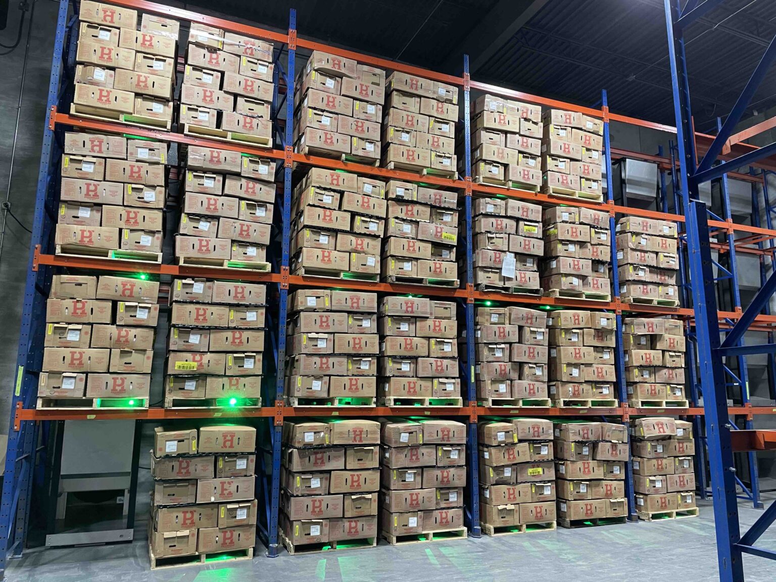 Blast freezing comes of age | coldchainnews.com